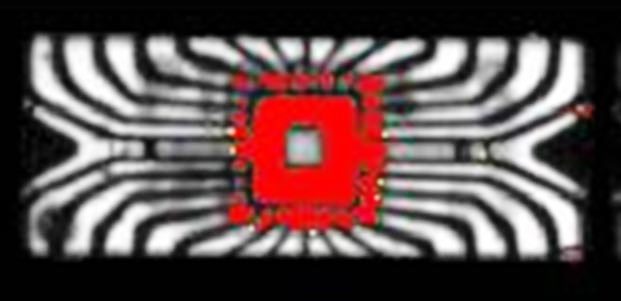 MSL Test - iST-Integrated Service Technology