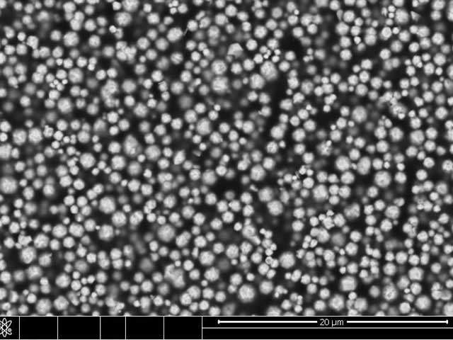 Scanning Electron Microscope (SEM) - iST-Integrated Service Technology