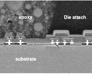 Cross-section & Backside polish - iST-Integrated Service Technology
