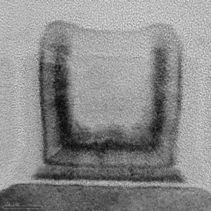 Transmission Electron Microscopy(TEM) - iST-Integrated Service Technology