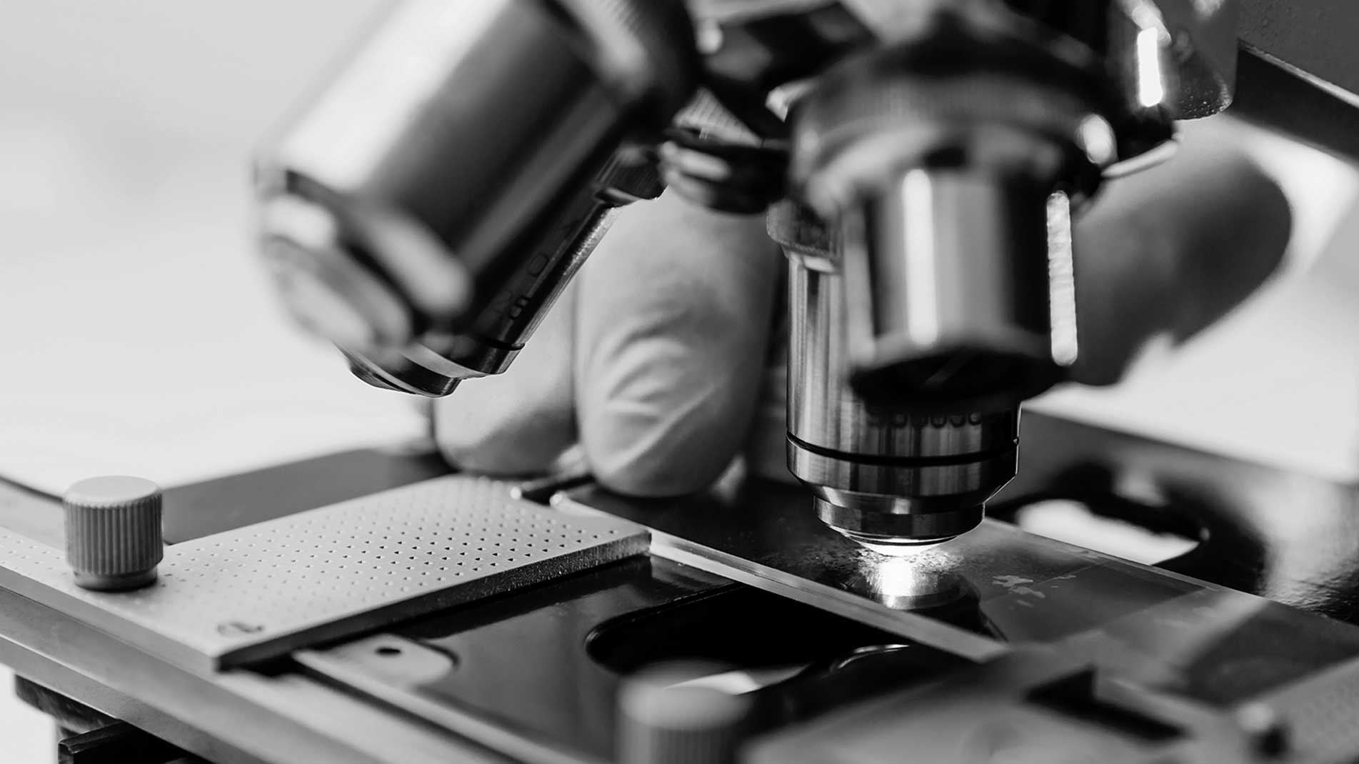 Transmission Electron Microscopy Unveiling The Microscopic Marvels Transmission Electron Microscopy Unveiling The Microscopic Marvels