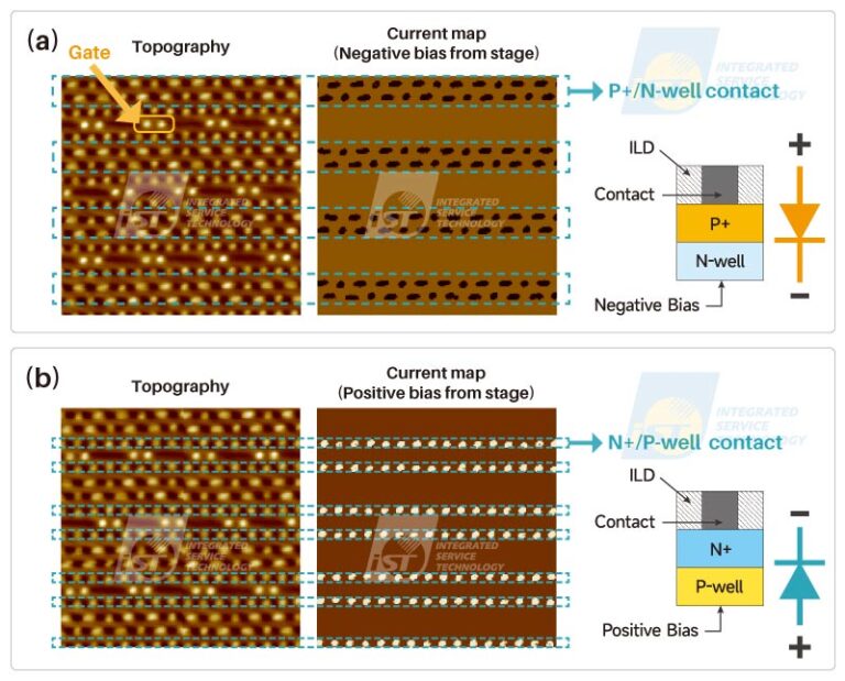 C-AFM defect analysis | Precisely Identifies Defects in Chips