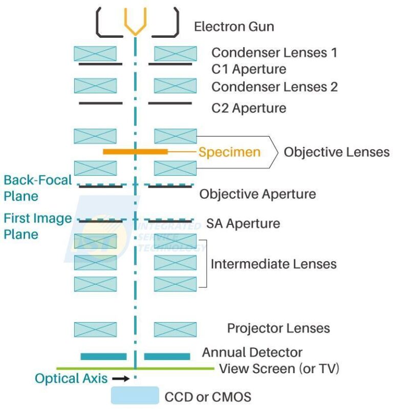 Transmission Electron Microscopy: Unveiling the Microscopic Marvels